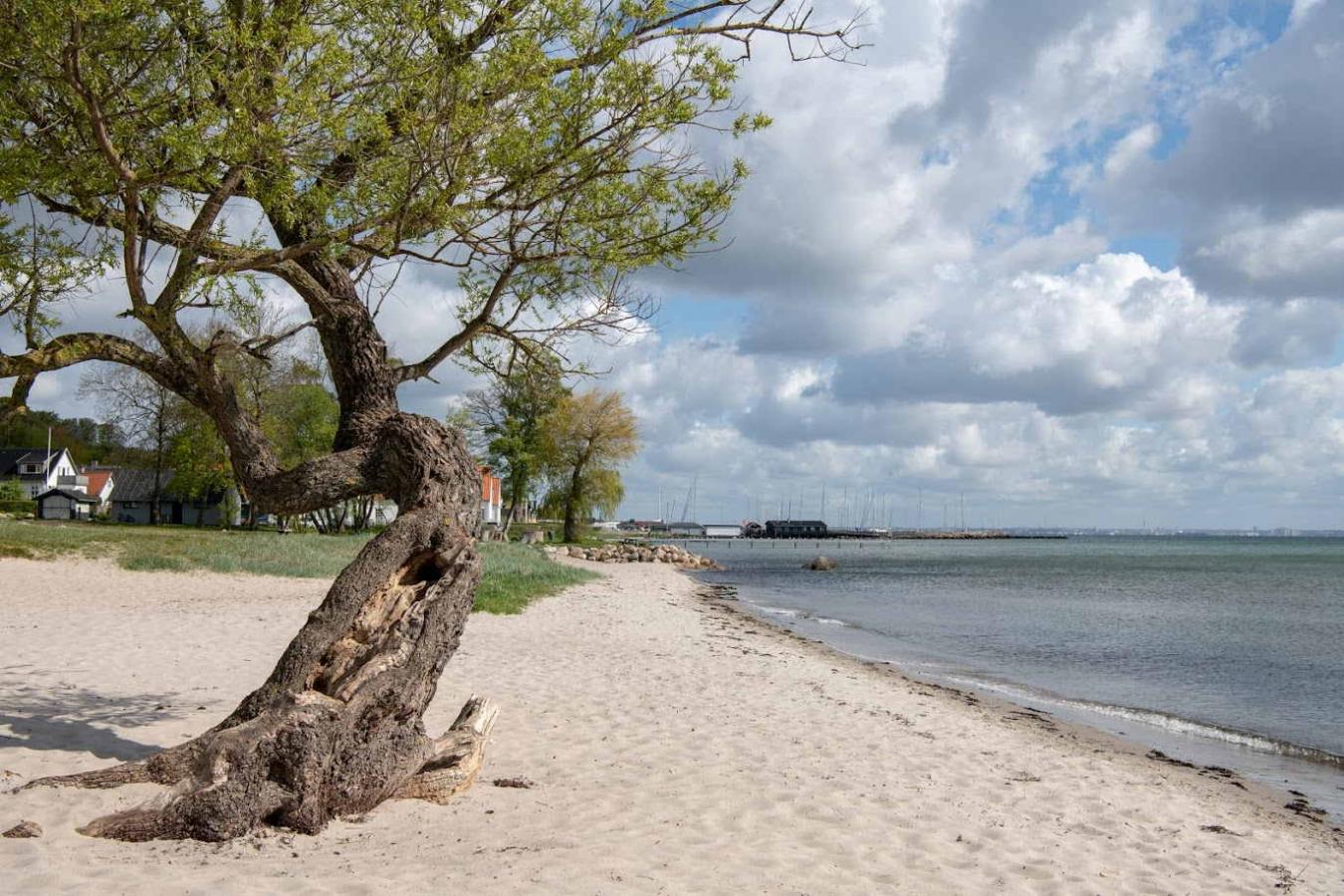 Humlebæk | Hjemsted for Louisiana | VisitNordsjælland