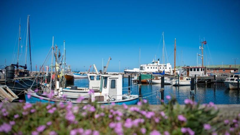 Hundested & Lynæs | autentiske havnebyer med kant | VisitNordsjælland